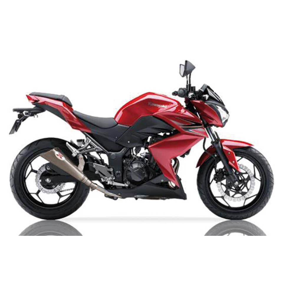 IXIL X55 rear silencer KAWASAKI ZX 300 R Ninja, 13-15 - buy cheap FC-Moto