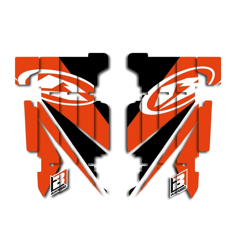 Blackbird Dream Graphic 4 Radiator Louvers Graphic Kit Beta RR - buy ...