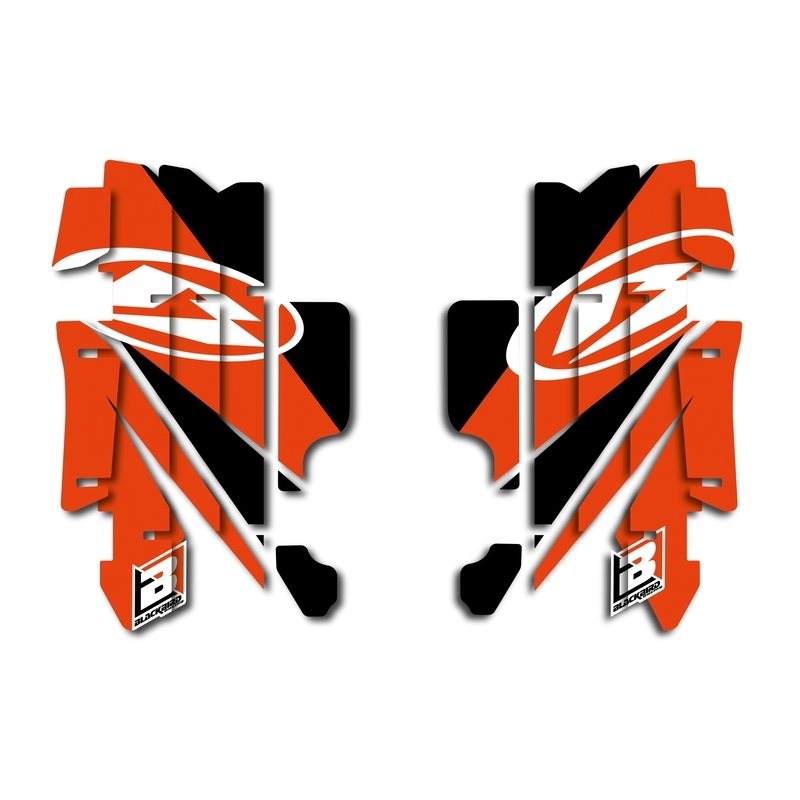 Blackbird Dream Graphic 4 Radiator Louvers Graphic Kit Beta RR - buy ...